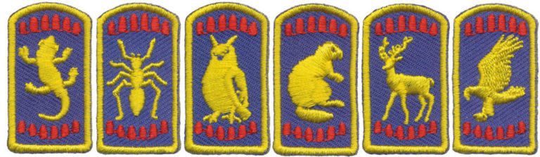 die Kluft der Royal Rangers – Royal Rangers Stralsund